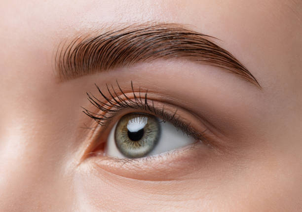 Eyebrow & Eyelash Tint | Beauty Bazaar